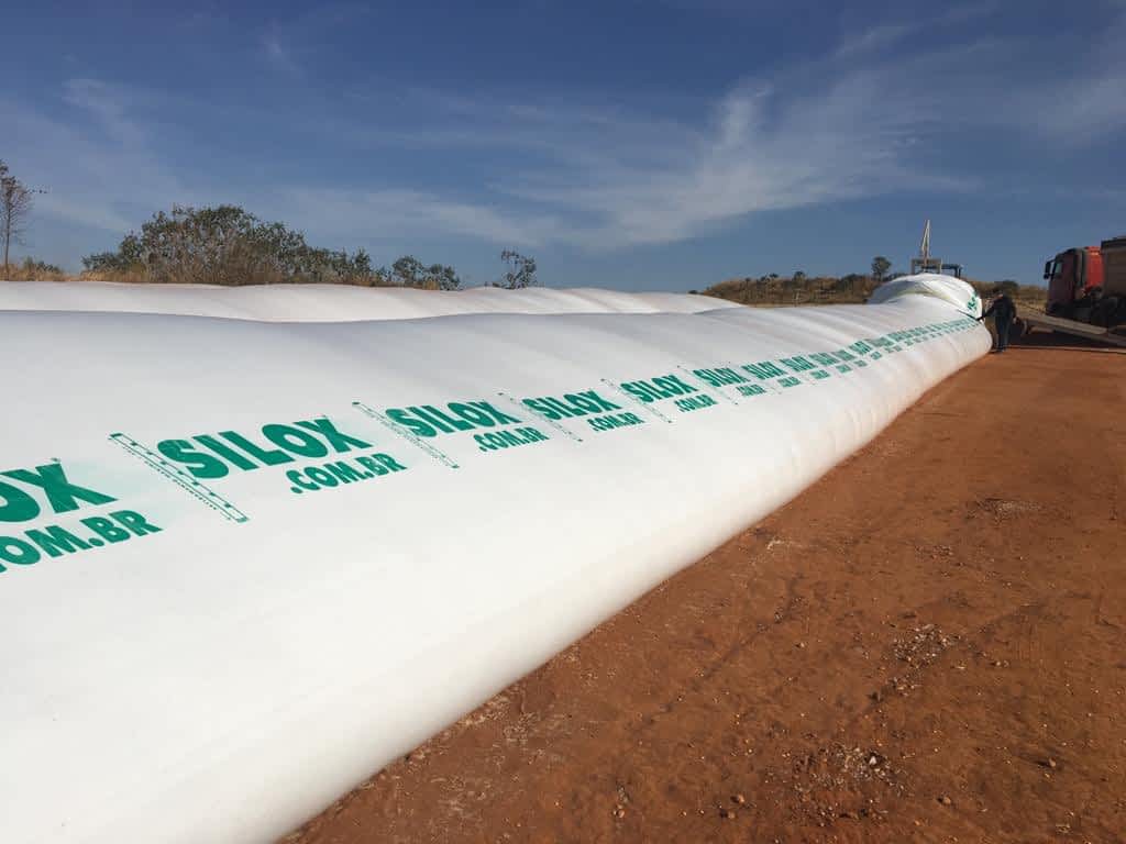 Silo Bag - Silo Bolsas: Conheça 6 curiosidades | Blog Nortène